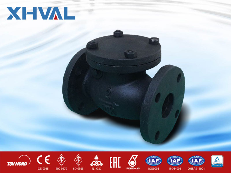 CI check valve