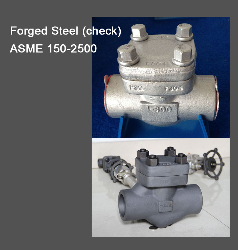 Cryogenic Check valve - XHVAL