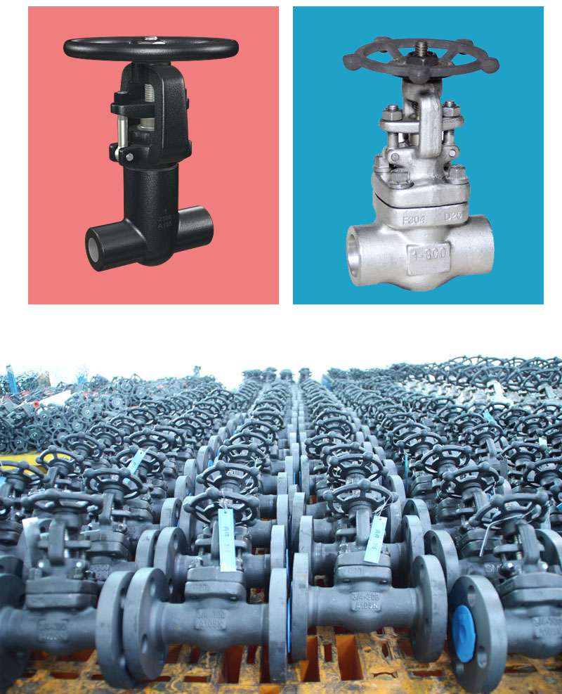 Forged steel gate valve - XHVAL