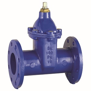 Ductile Iron Gate Valve - XHVAL Valve